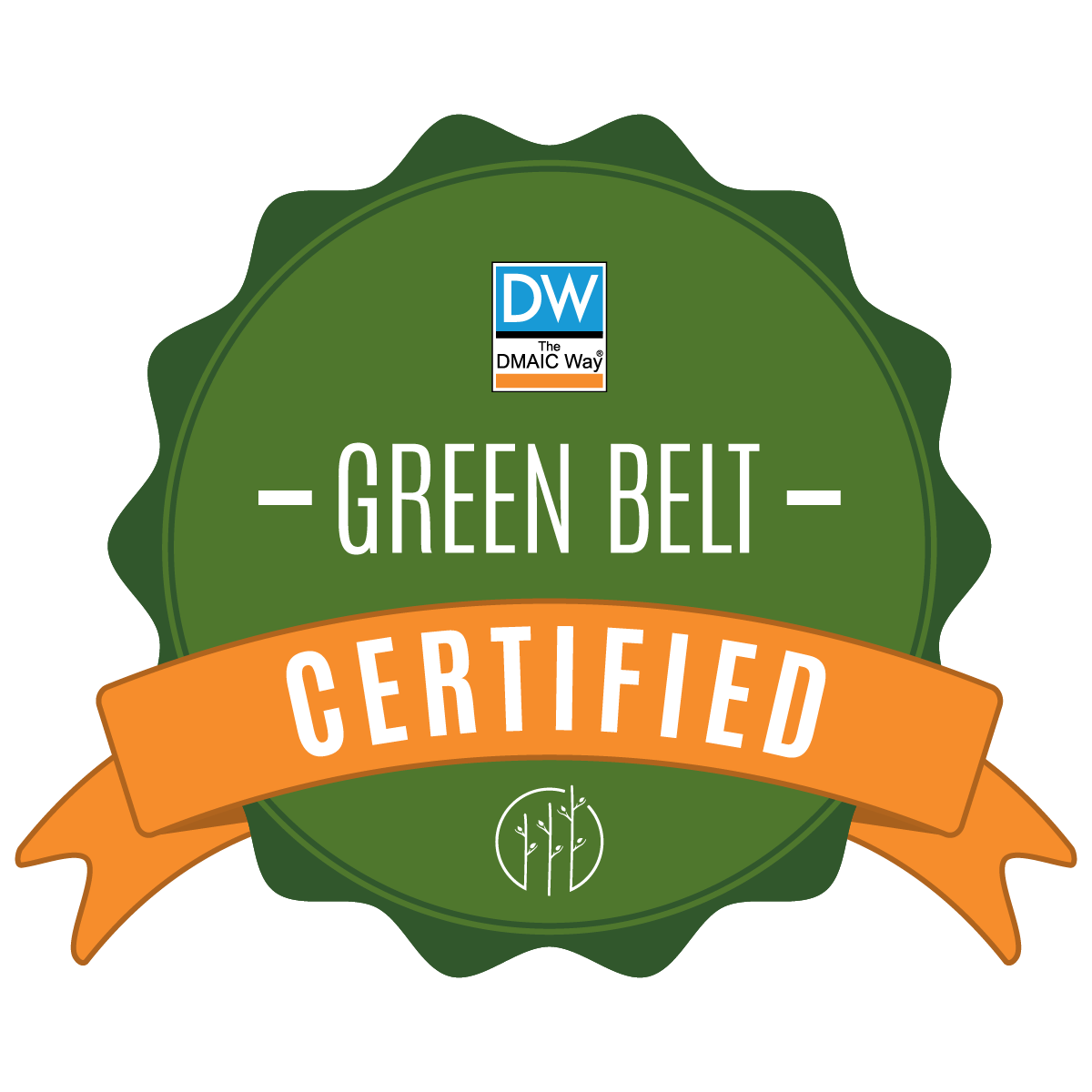 Lean Six Sigma DMAIC Green Belt