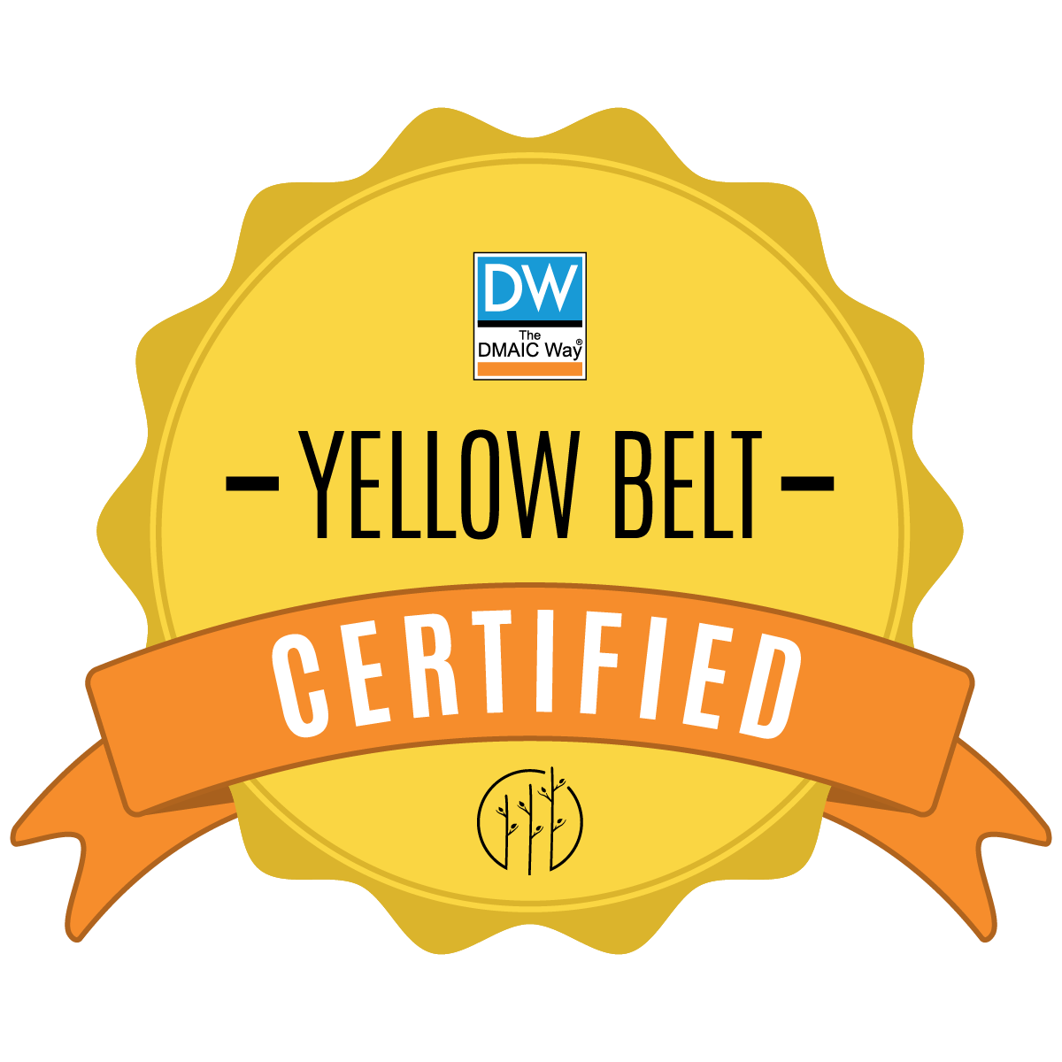 Lean Six Sigma DMAIC Yellow Belt