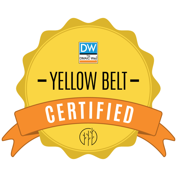 Lean Six Sigma DMAIC Yellow Belt